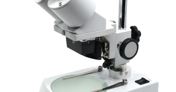Stereoscopic Microscope - Binocular Head Inclined at 45 Degrees, Fitted ...