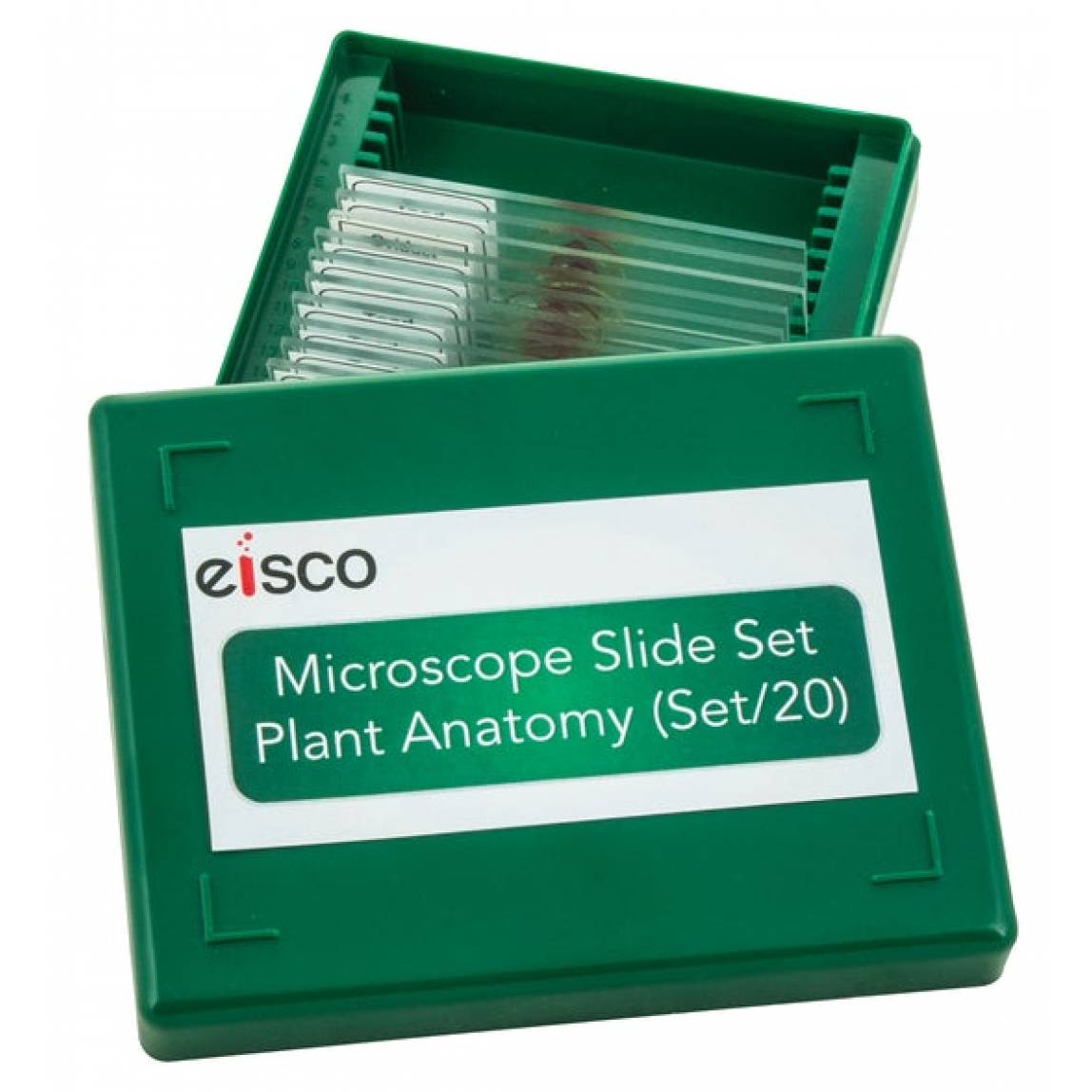 Microscope Slide Set - Basic Plant Anatomy, Set of 20